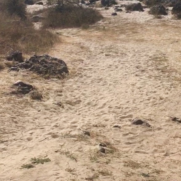 Female Genital Mutilation: What We Still Don’t Know … Socio-economics ...